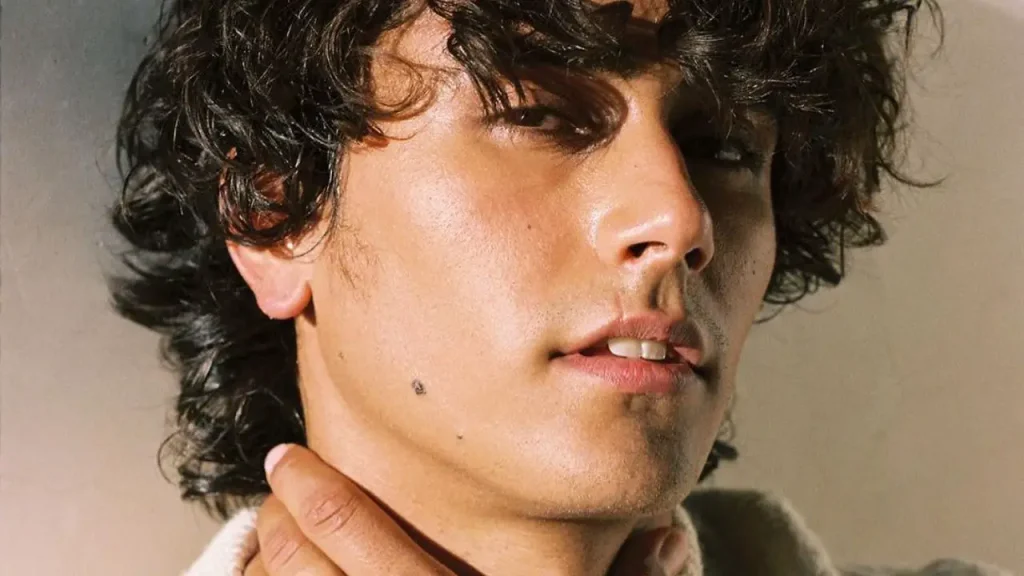 Michael Cimino’s Lip Scar: Is It a Birthmark? - Celebs In-depth